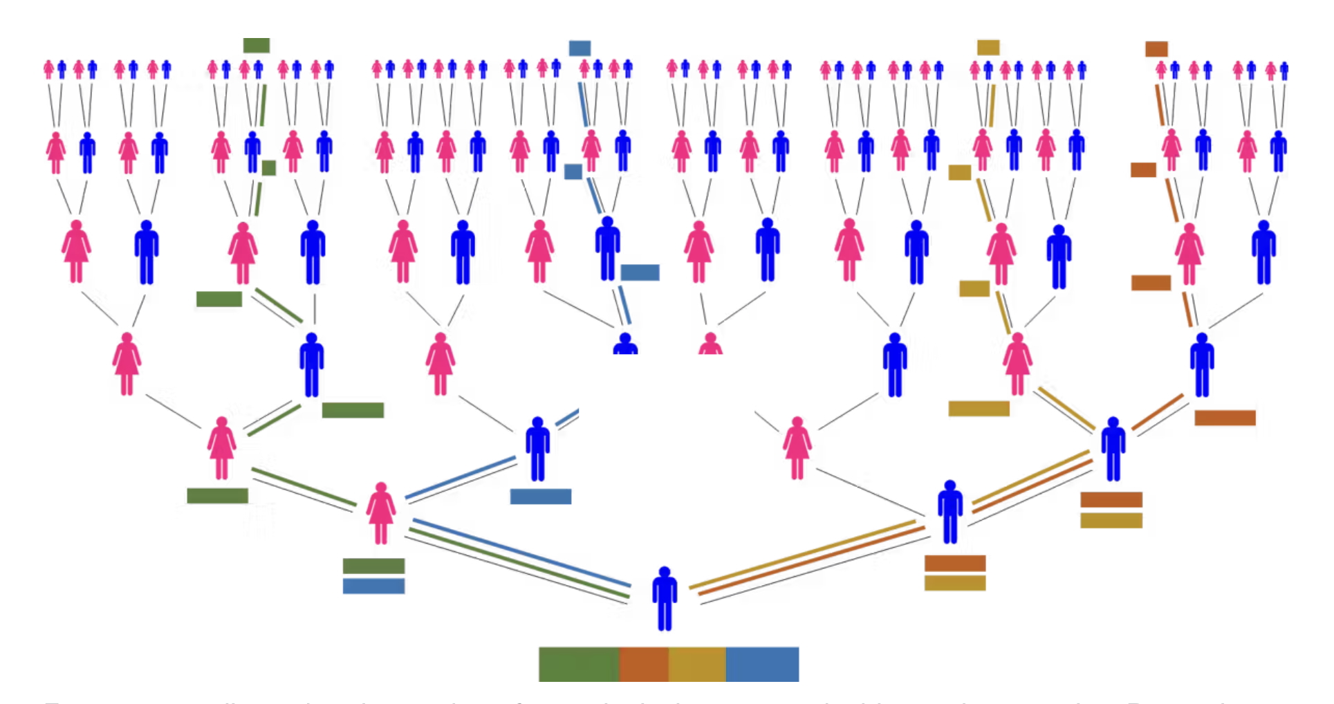 With All Our Ancestors — This Is How We Research Their Lives – Our ...